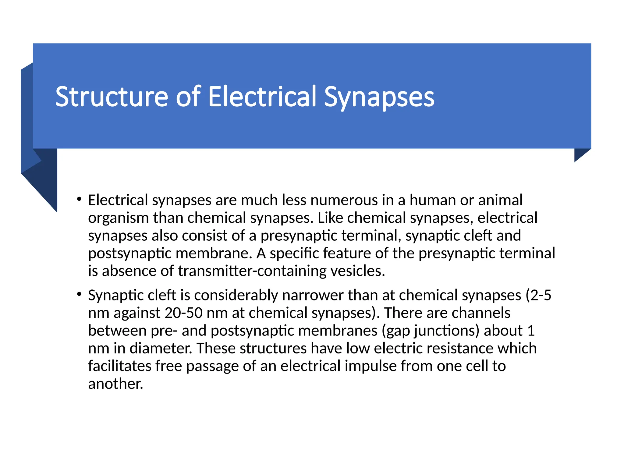 4. PHYSIOLOGY OF SYNAPSES.pptxhyffvhunjrtghn | PPT