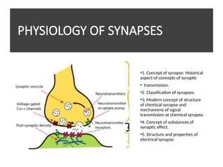 4. PHYSIOLOGY OF SYNAPSES.pptxhyffvhunjrtghn | PPTX