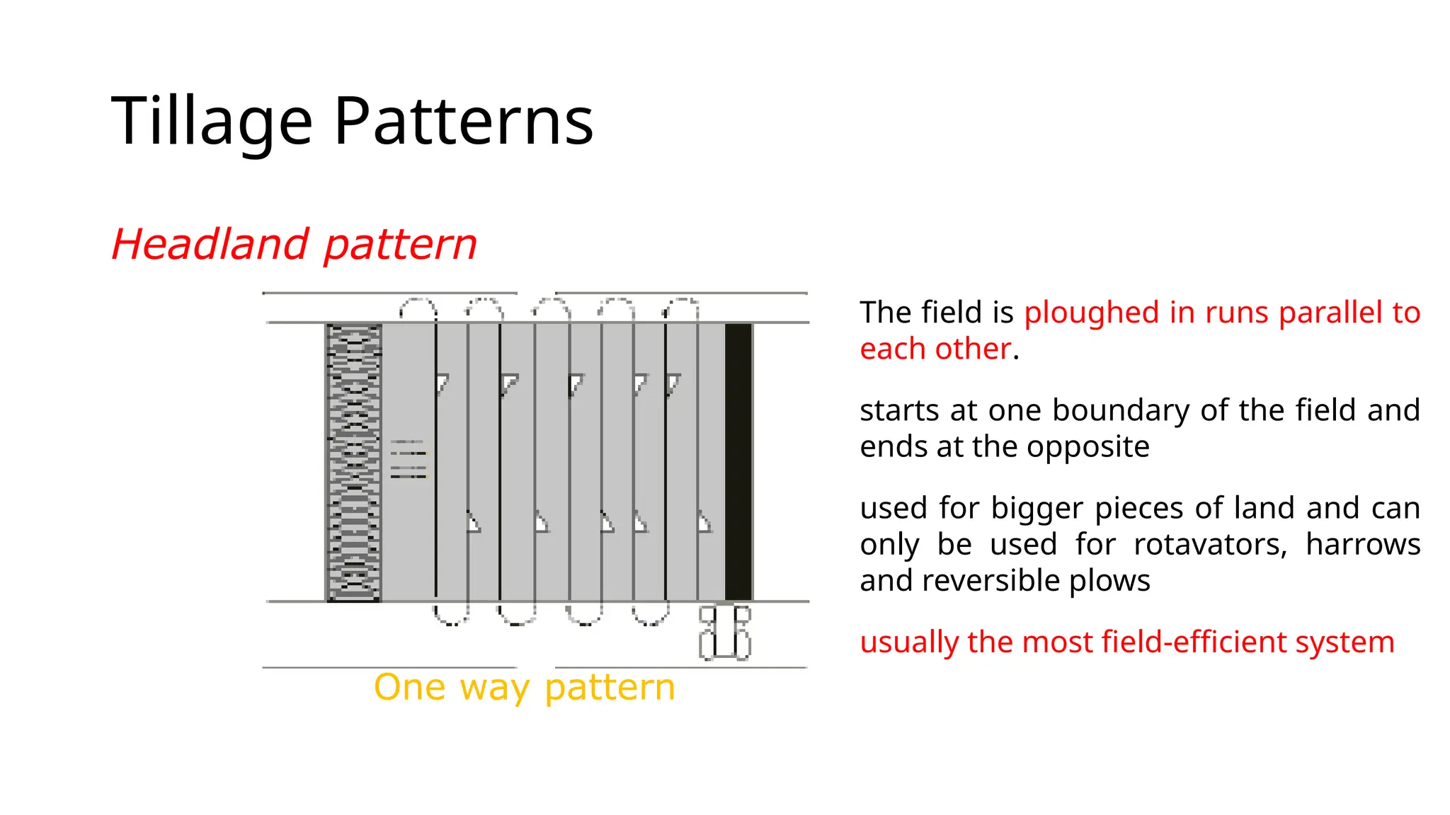 Land preparation for Annual and Perennial Crops | PPTX