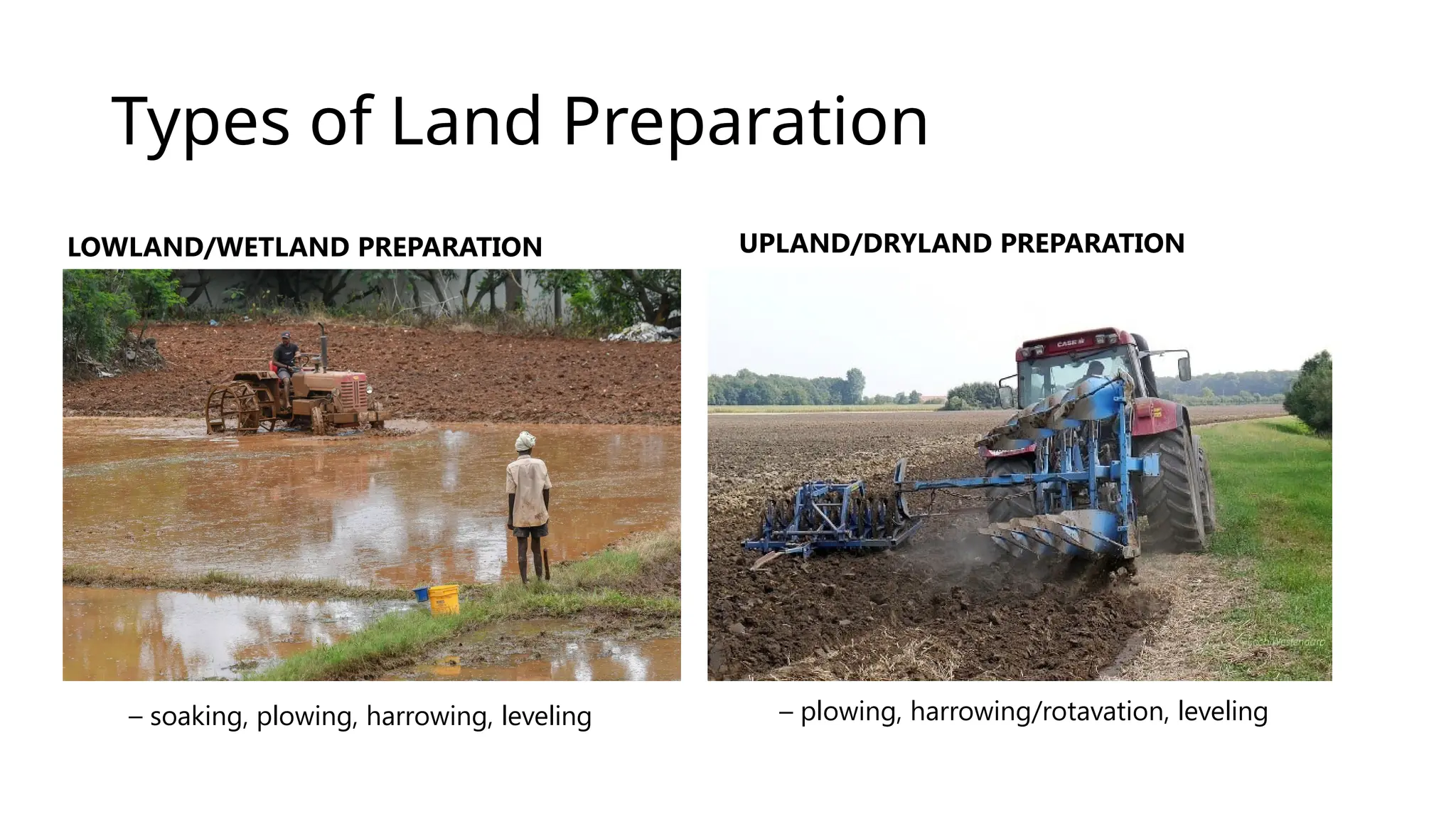 Land preparation for Annual and Perennial Crops | PPTX