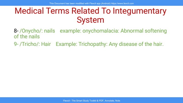 Introduction to the Integumentary System: Skin, Hair, and Nails” | PDF