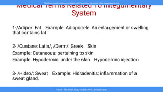 Introduction to the Integumentary System: Skin, Hair, and Nails” | PPT