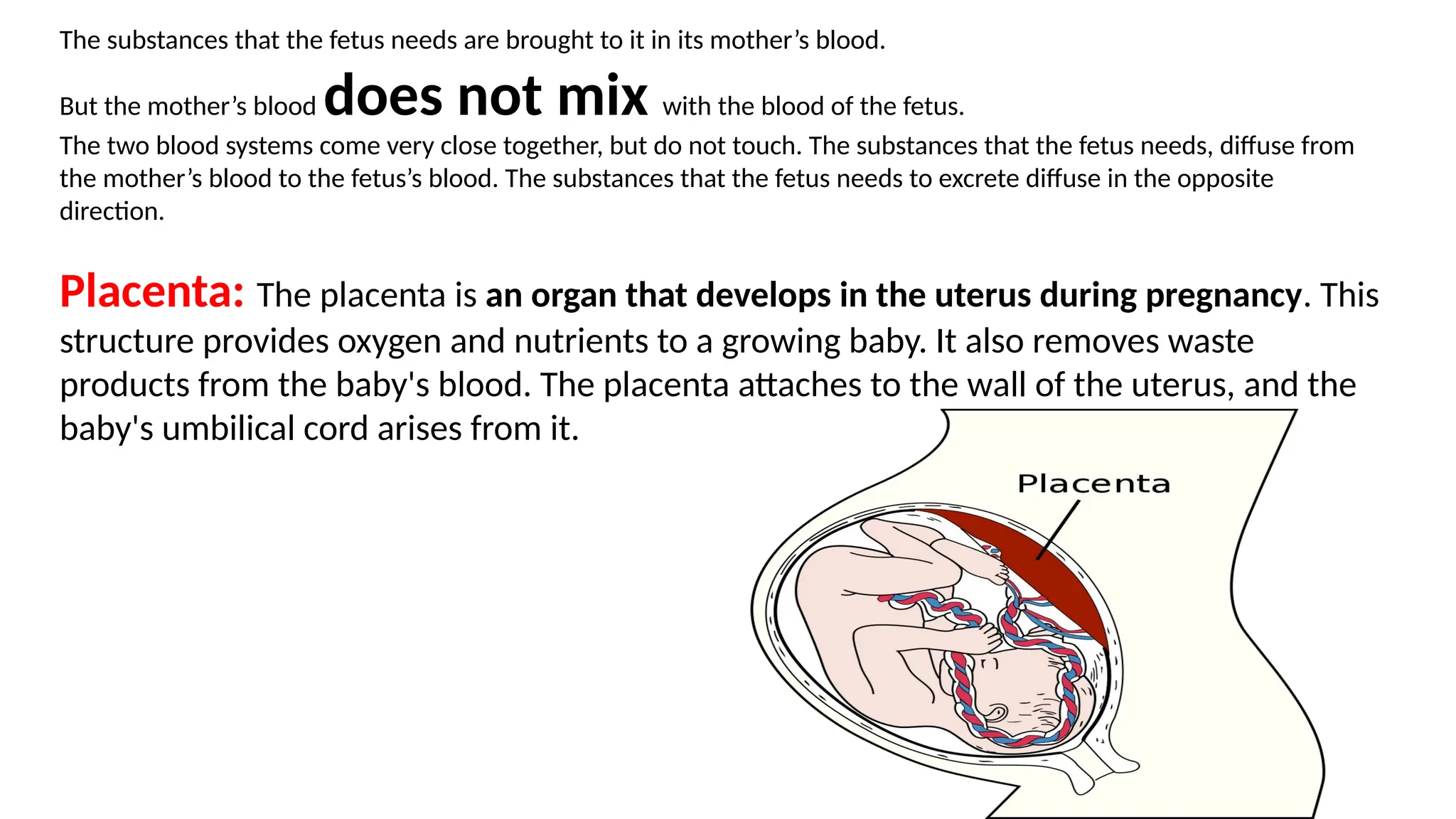 Keeping fetus healthy Year 8 Presentation | PPTX