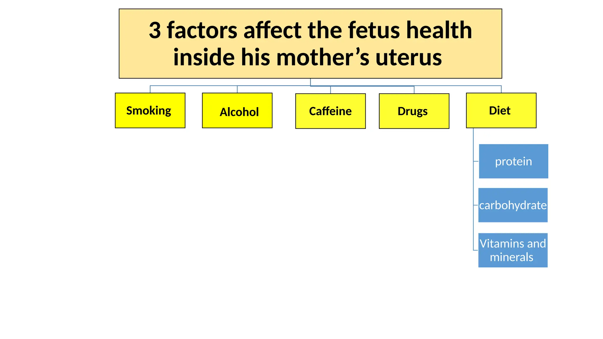 Keeping fetus healthy Year 8 Presentation | PPTX