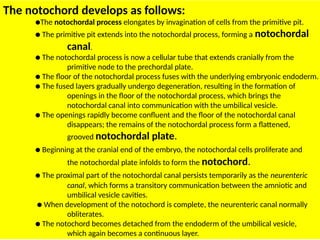 4. Embryonic period. ( WEEK 3-8).pptx