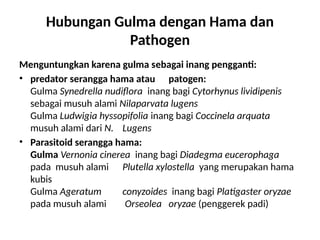 Gulma dan pengendaliannya pada tanaman budidaya | PPTX