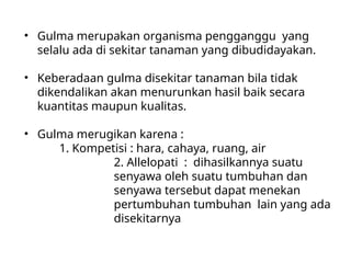 Gulma dan pengendaliannya pada tanaman budidaya | PPTX