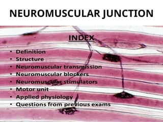 4.NEUROMUSCULAR JUNCTION physiology.pptx