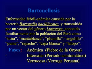 BARTONELOSIS FISIOLOGIA Y MEDIDAS DEPREVENCION.ppt