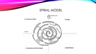 4. LIFECYCLE DATABASE DVP LIFECYCLE.pptx