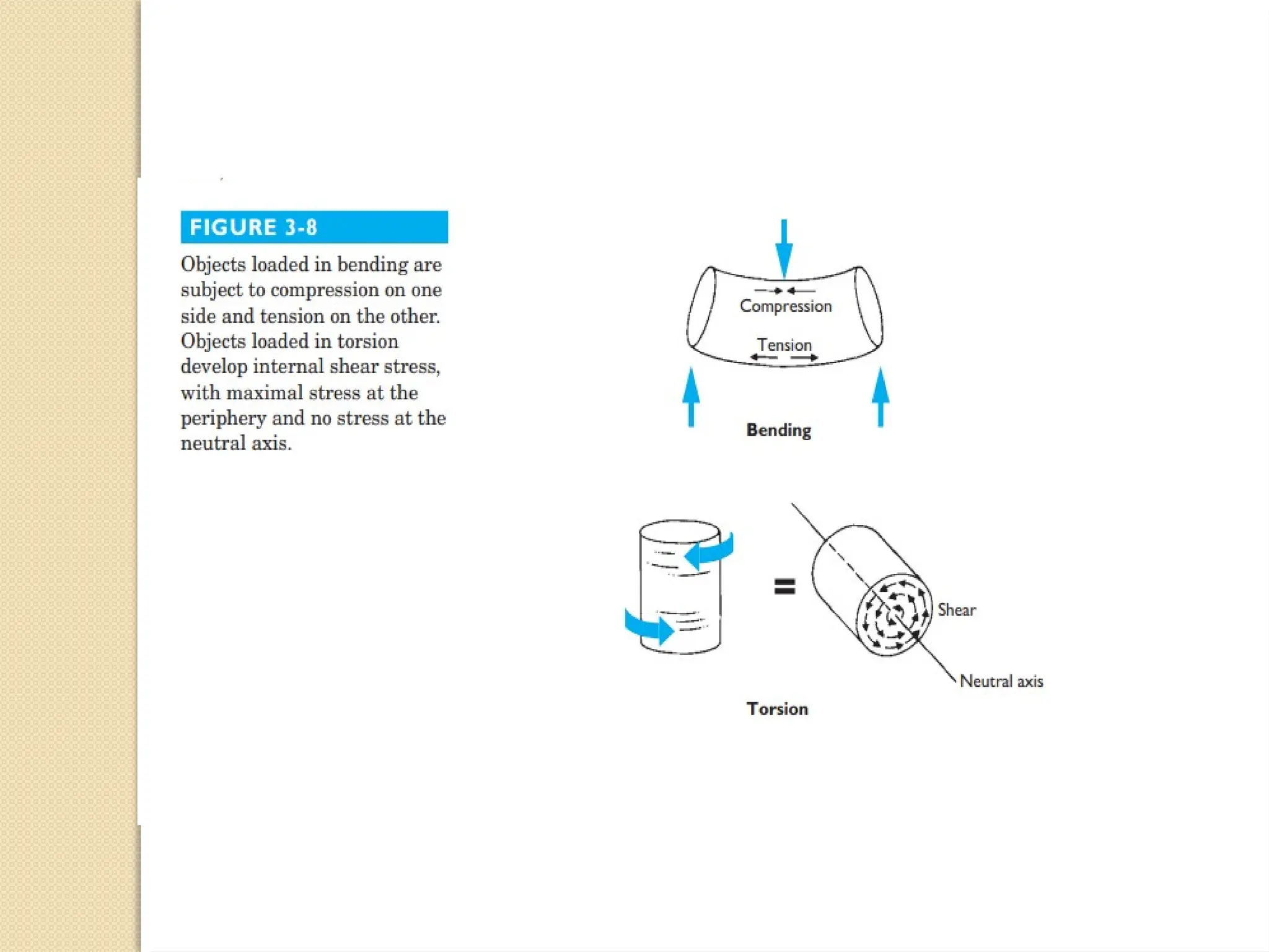 4..Kinetic Concepts for Analyzing Human Motion part (b) load on human ...