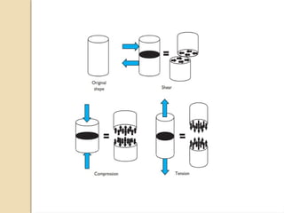 4..Kinetic Concepts for Analyzing Human Motion part (b) load on human ...