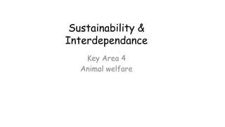 4.-Animal-Welfare.pptx. With examples and pic | PPT