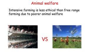 4.-Animal-Welfare.pptx. With examples and pic | PPTX