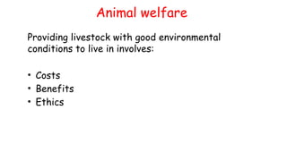 4.-Animal-Welfare.pptx. With examples and pic | PPT
