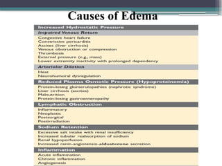 4. Hemodynamics- Shock, D.I.C, Edema.pptx