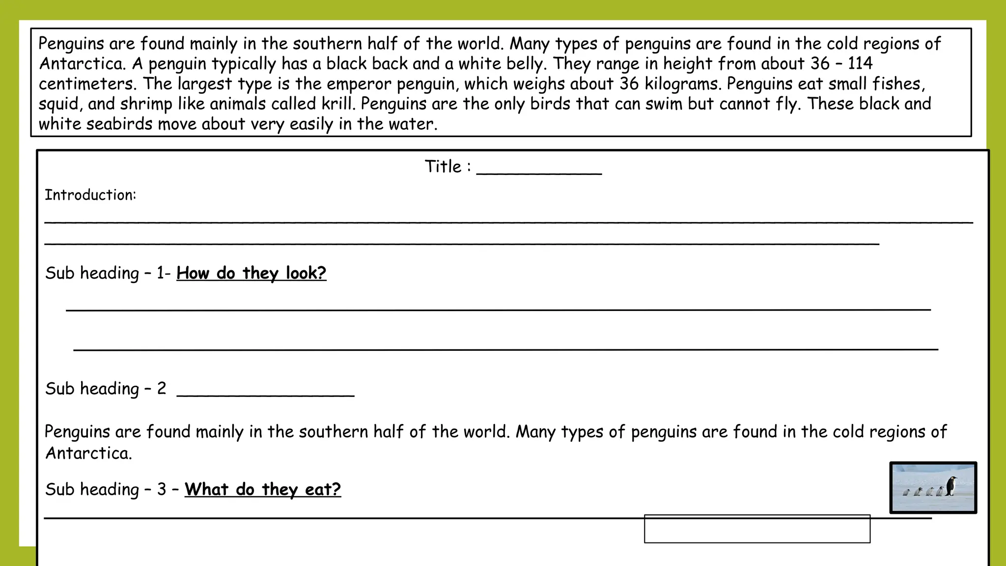 4. .( worksheet) NON-CHRONOLOGICAL REPORT [PENGUINS] (1).pptx