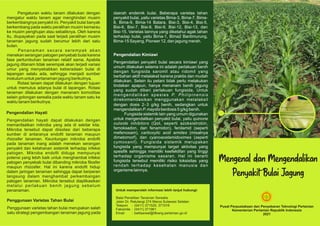 4. Mengenal dan Mengendalikan Penyakit Bulai Jagung.pdf