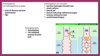 4.. Absorption disorders and related diseases. (2).pptx