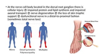 4. Disorders of peripheral nerves , symptoms treatment | PPTX