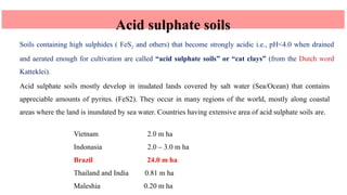 4. Acid and Acid. sulphate soils.pptx