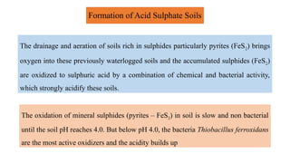 4. Acid and Acid. sulphate soils.pptx