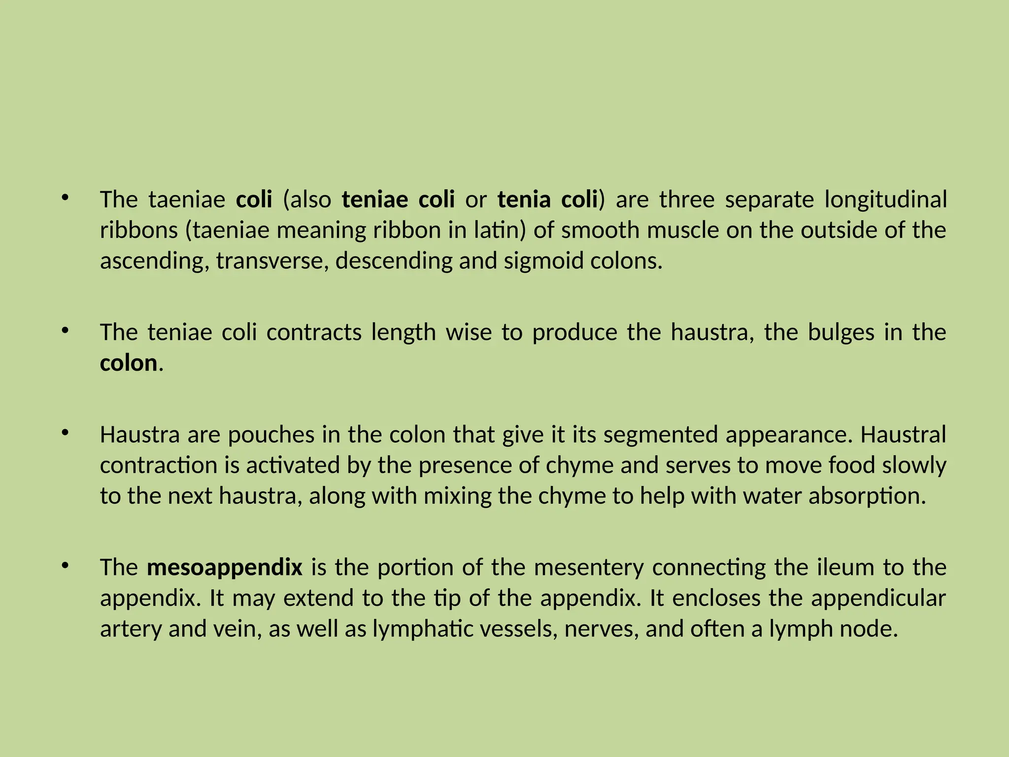 4.-Digestion-in-human-being (1).pptx st. | PPTX