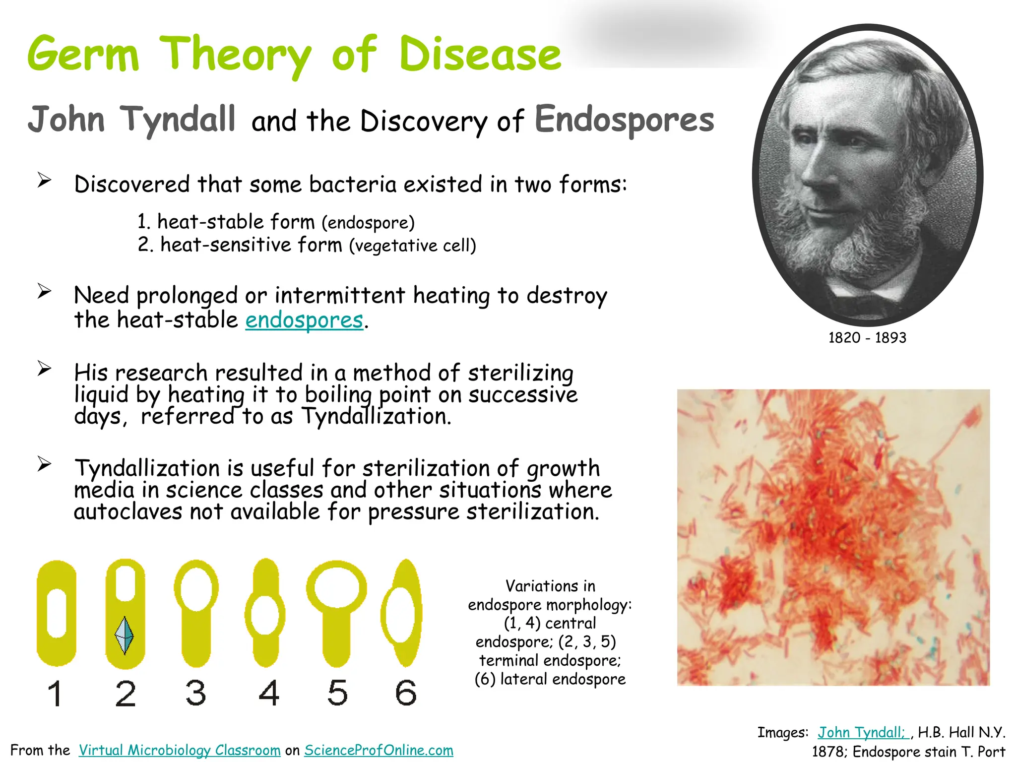 4. History of Microbiology and its Branches.pptx