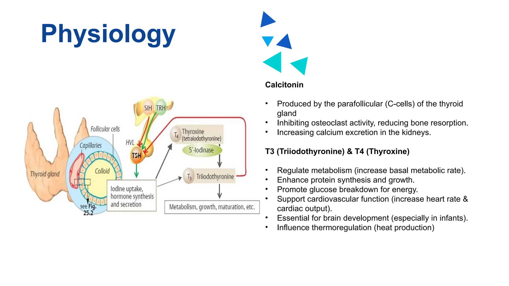 4.Principles of Thyroid Cancer Management .pptx