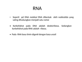 STRUKTUR DNA DAN RNA biologi SMA, dipelejari lebih dalam algi | PPTX