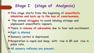 Anesthesia and it's stage with mnemonic and images | PPTX