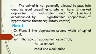 Anesthesia and it's stage with mnemonic and images | PPTX
