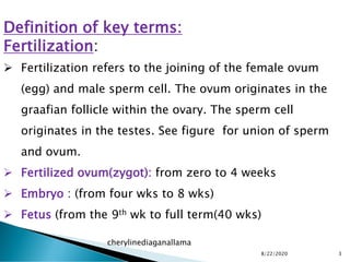 4.-FERTILIZATION-CONCEPTION processes.pdf