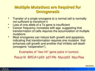 molecular signaling and cancer relevance to RT | PPT