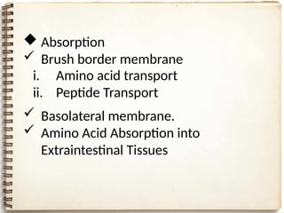 4. digestion and absorption of Amino acid.pptx