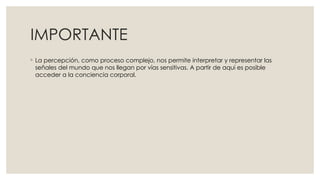 Percepción, fases de la percepción, características y ejemplos visuales ...