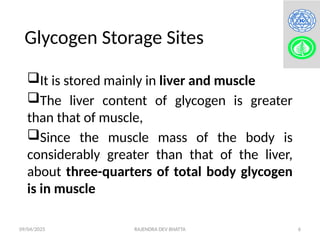 Glycogen metabolism-for Dental and othe students.pptx
