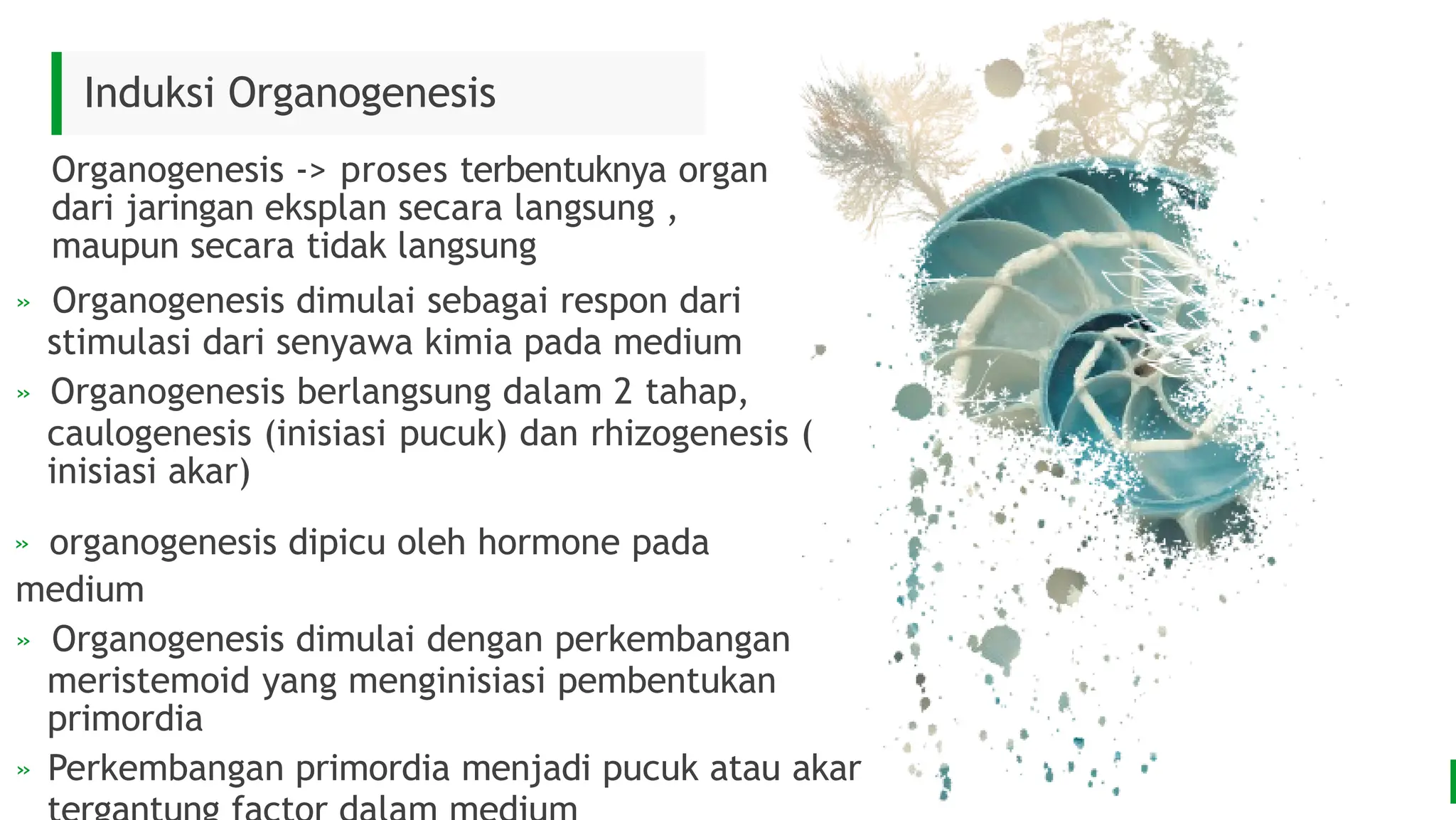 kultur jaringan - Organogenesis dan Embriogenesis.pptx