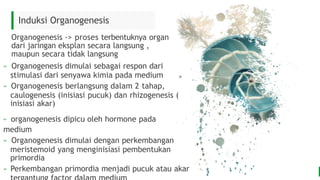 kultur jaringan - Organogenesis dan Embriogenesis.pptx