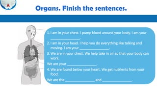 4.1 Human Organs.pptx Inner and outer body parts | PPTX