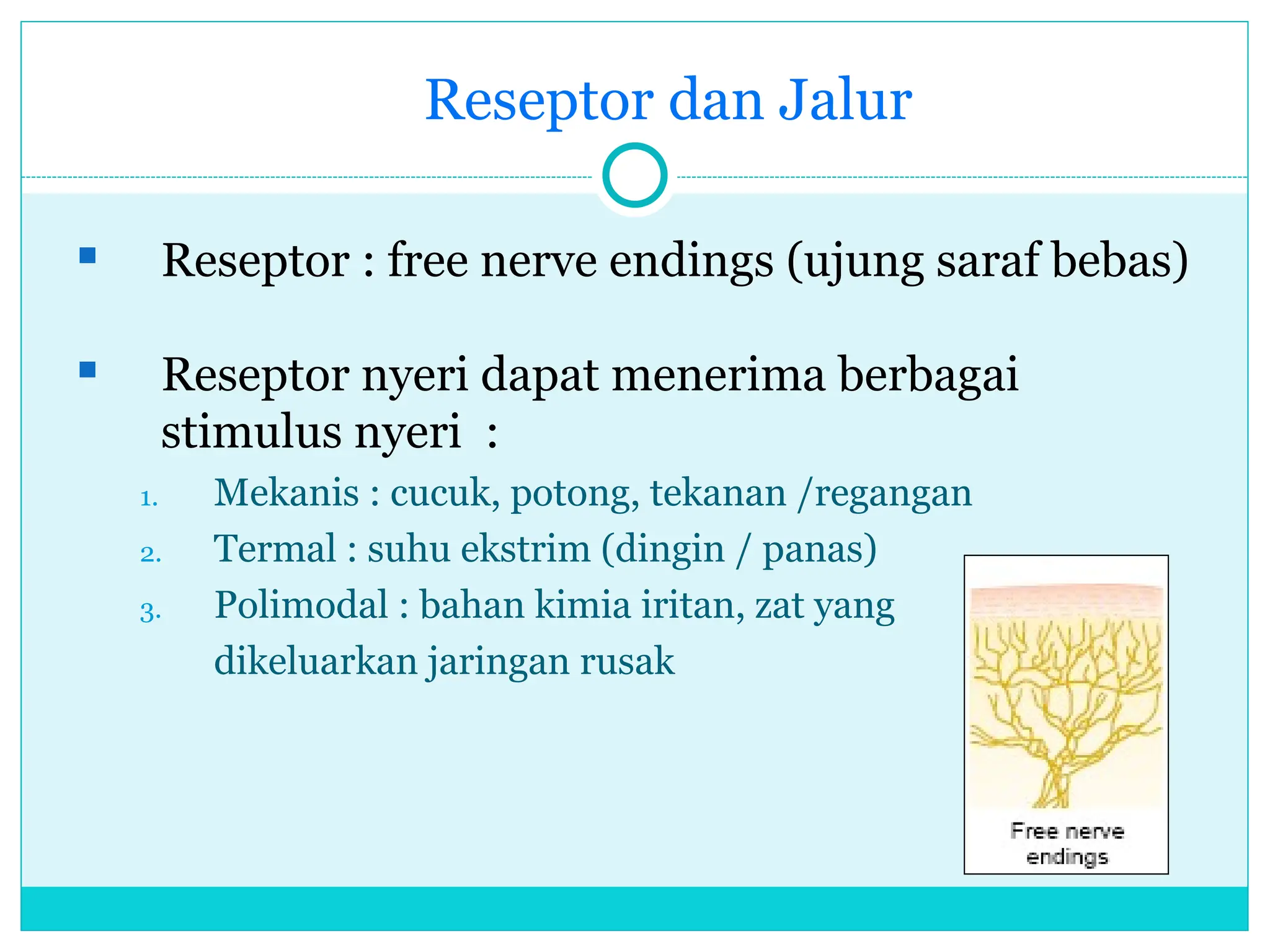 4. Fisiologi Sistem Saraf Perifer dan Sistem Saraf Otonom.ppt