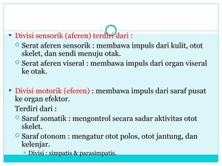 4. Fisiologi Sistem Saraf Perifer dan Sistem Saraf Otonom.ppt