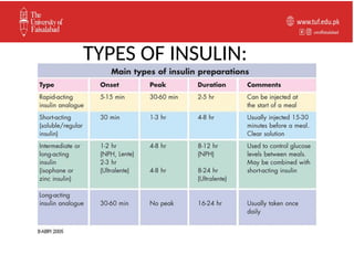 4. Insulin production.pptx insulin production pharmacology | PPTX