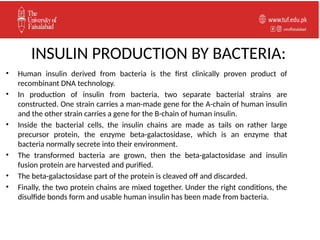 4. Insulin production.pptx insulin production pharmacology | PPTX