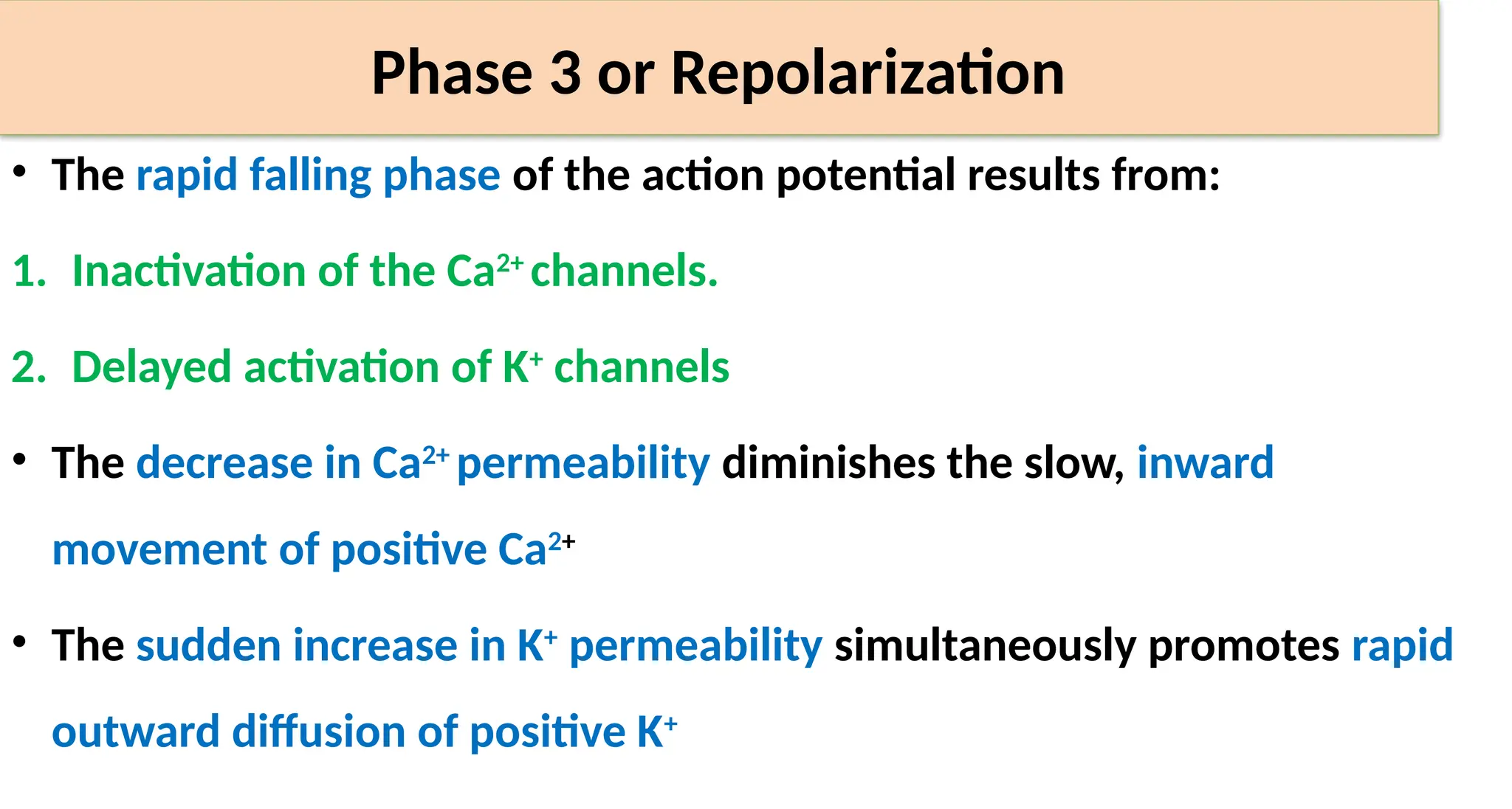 4.Action potential in cardiac muscle (1).pptx