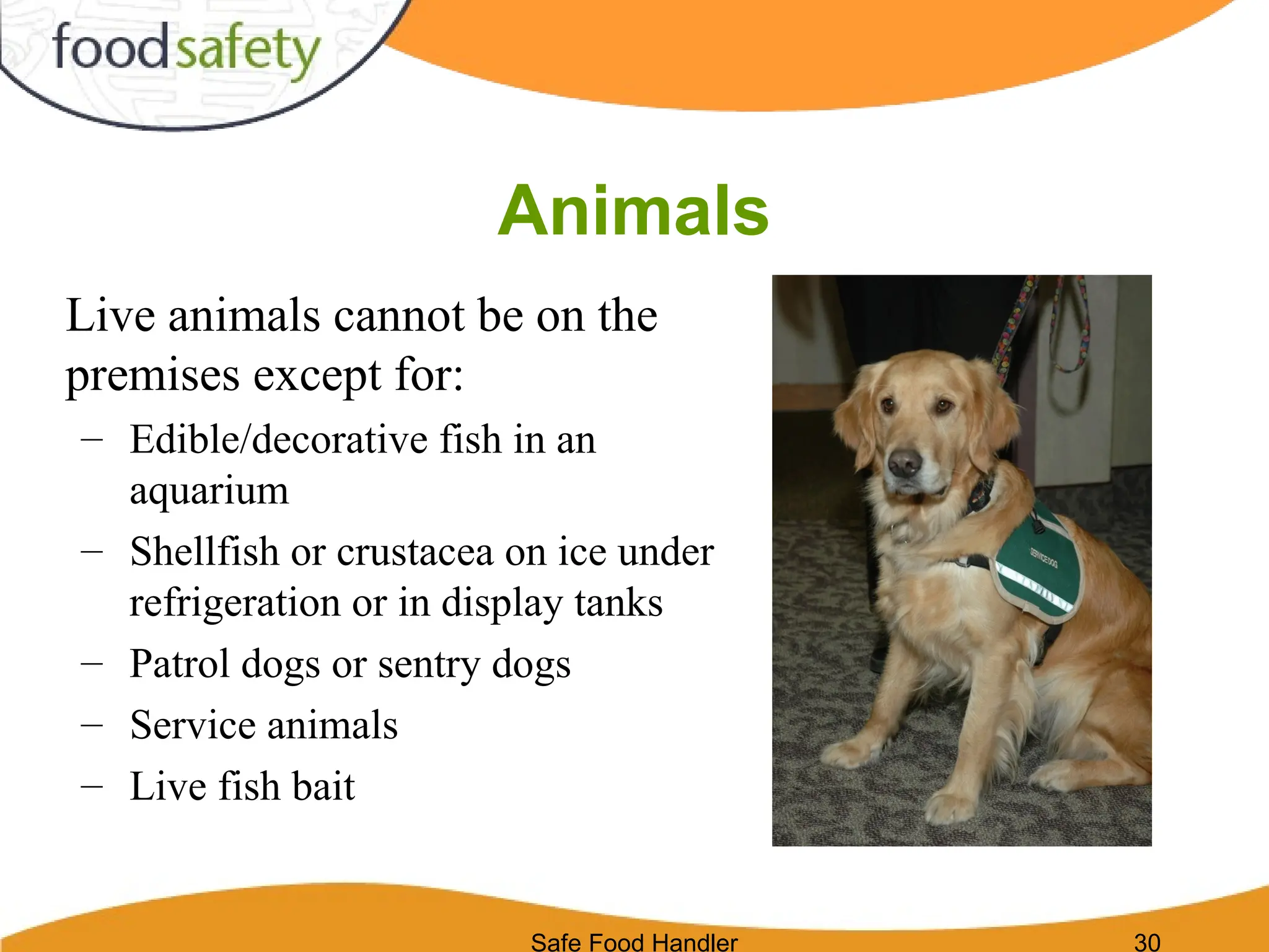 4.Food safety & handling Procedurre .ppt