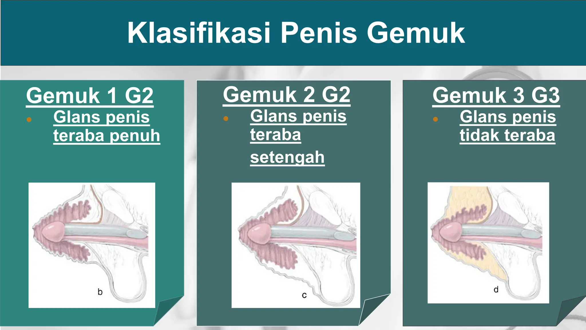 4. SUNAT GEMUK cikandang cikajang garutt | PDF