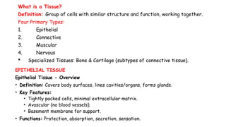 4. Introduction to tissue for human physiology .pptx