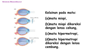Anatomi dan Fisiologi Manusia "Sistem Indera 3".ppt