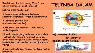 Anatomi dan Fisiologi Manusia "Sistem Indera 3".ppt